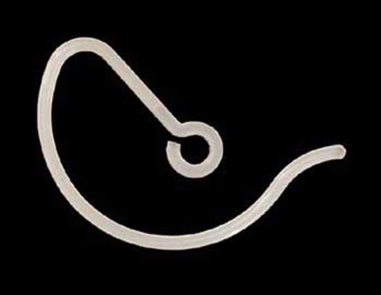 FLEXIBLE NYLON EAR LOOP-Diatec Canada